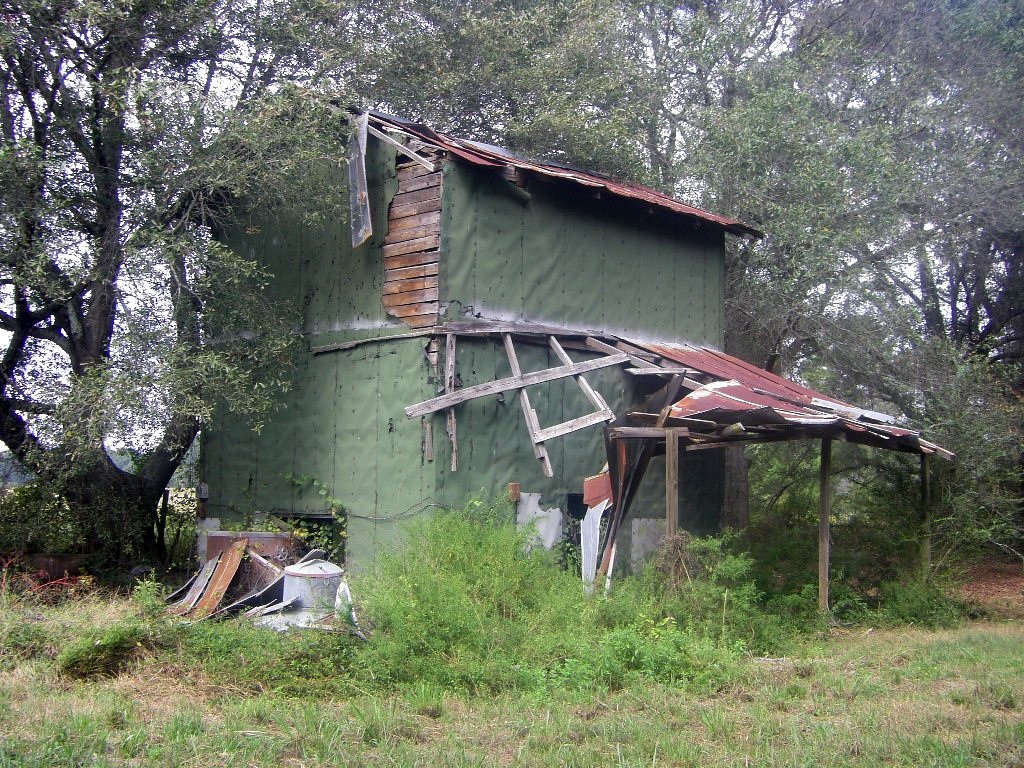 Green Tar Paper Tobacco Barn Jeff Davis County GA Abandoned Dilapidated ...