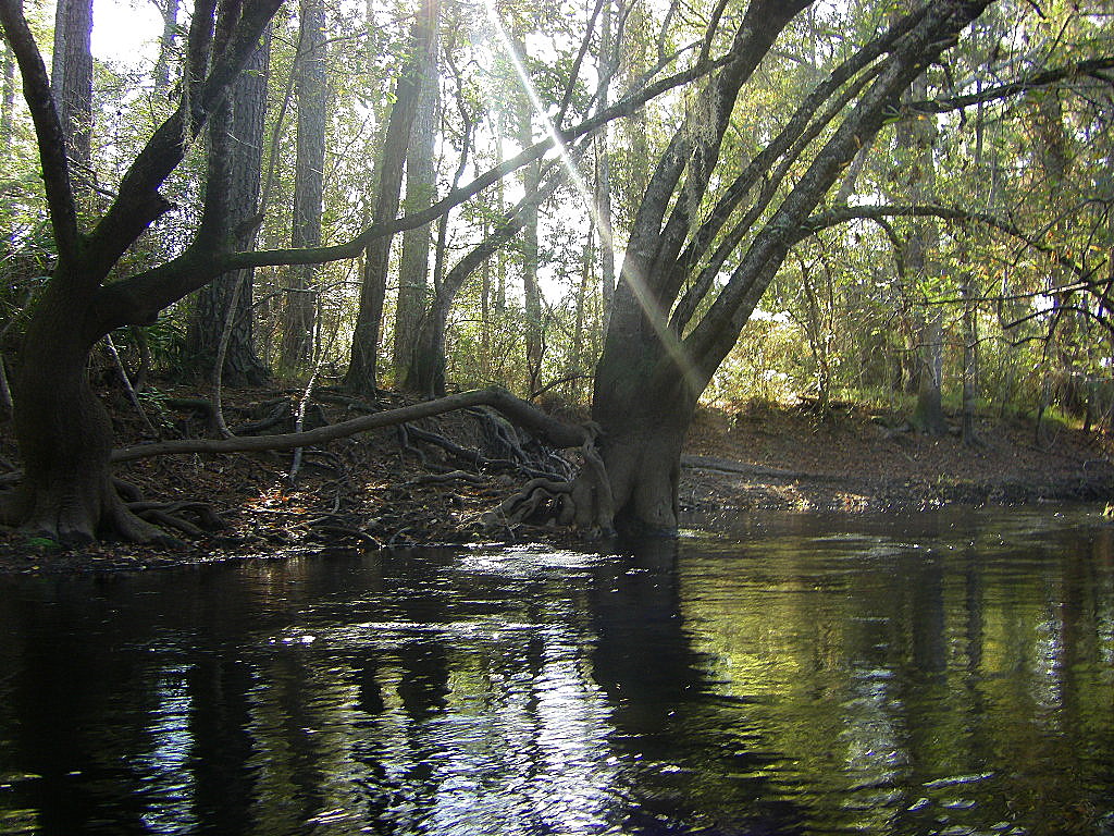 Little Satilla River Satilla Riverkeeper Near Zirkle Dam Pierce County ...
