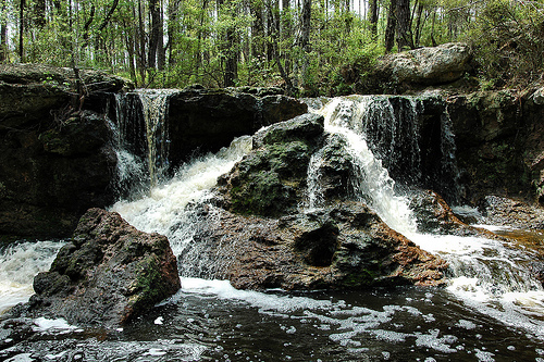 Broxton Rocks Preserve Coffee County GA Nature Conservancy Natural Area ...