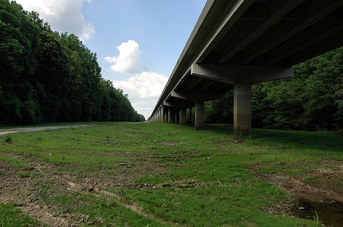 Woodpecker Trail State Highway 121 Bridge Through Big Hammock Tattnall ...