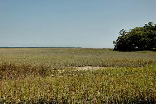 Sapelo River Low Tide GA Marshes Belle Bluff Pictures Photo Image ...