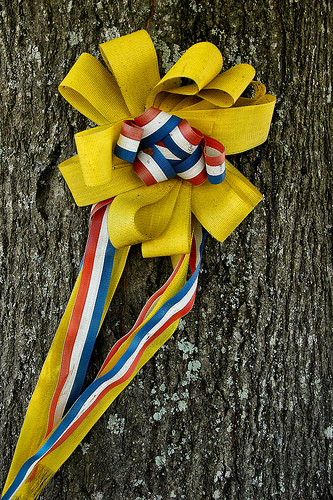 Yellow Ribbon on Oak Tree with Patriotic Red White Blue Veterans Bring ...