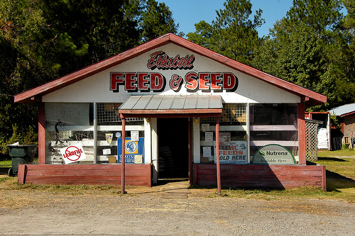 Ellabell GA Bryan County Feed & Seed Americana Painted Sign on Building ...