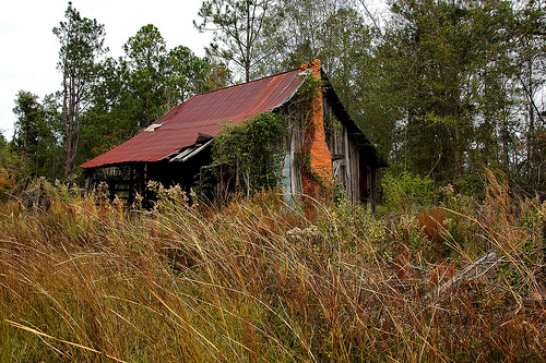 Turner County GA Abandoned Tenant Farmhouse Vernacular Architecture ...