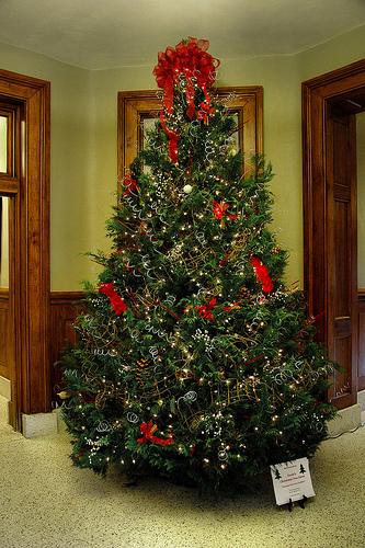 Effingham County Courthouse Christmas Tree Traditional Truitt Christmas ...