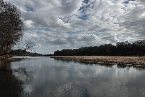 Grays Landing GA Toombs County Altamaha River Historic Low Water Level ...