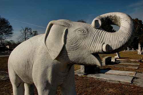 Moultrie GA Colquitt County Elephant Headstone Memorial Circus Owner ...
