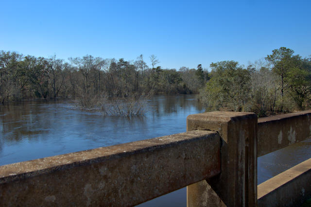 Flooding on the Ohoopee River, 2013 | Vanishing Georgia: Photographs by ...