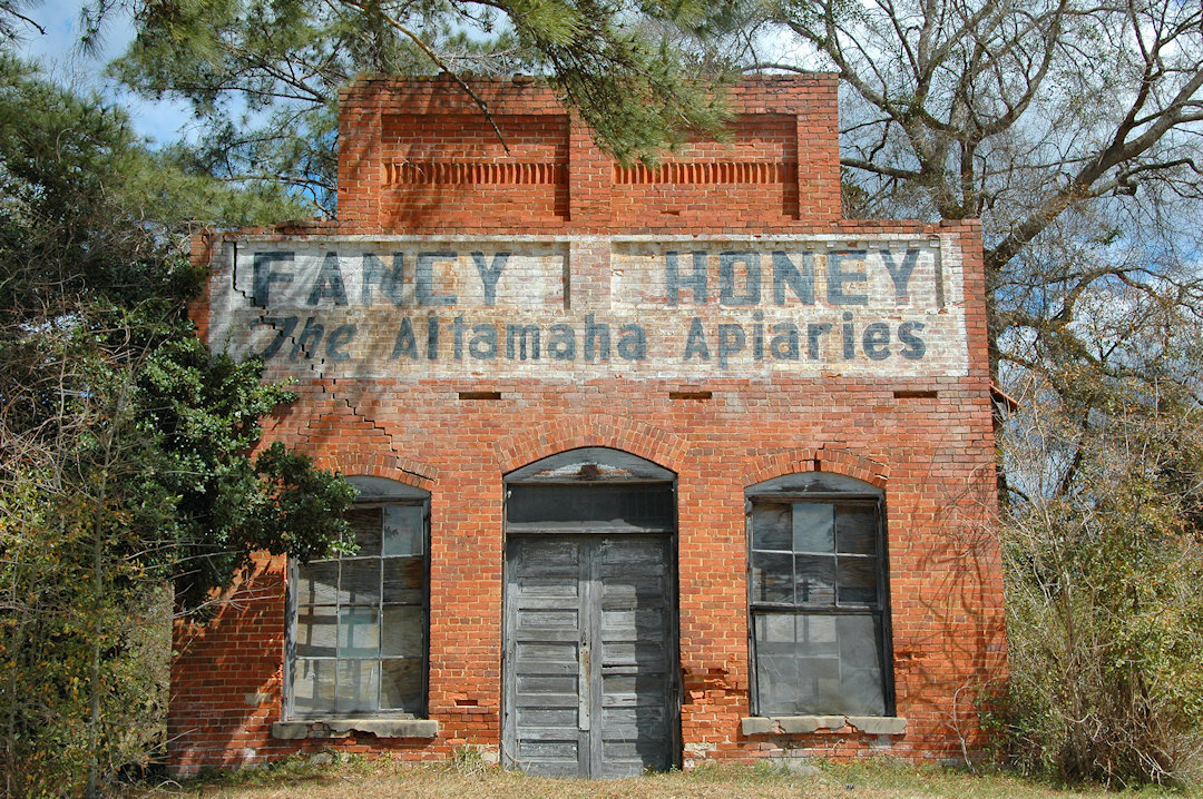 The Altamaha Apiaries, Circa 1900, Gardi | Vanishing Georgia ...
