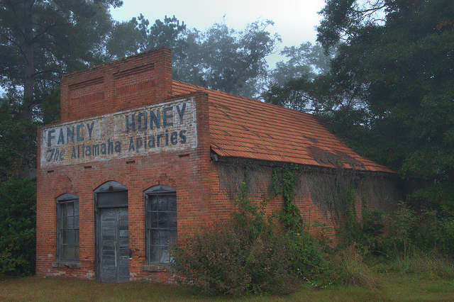 The Altamaha Apiaries, Circa 1900, Gardi | Vanishing Georgia ...