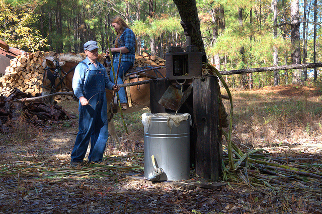 Ribbon Cane Master Making Syrup Junction City GA Folklife Photograph ...