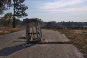 Crystal Lake, Irwin County | Vanishing Georgia: Photographs by Brian Brown