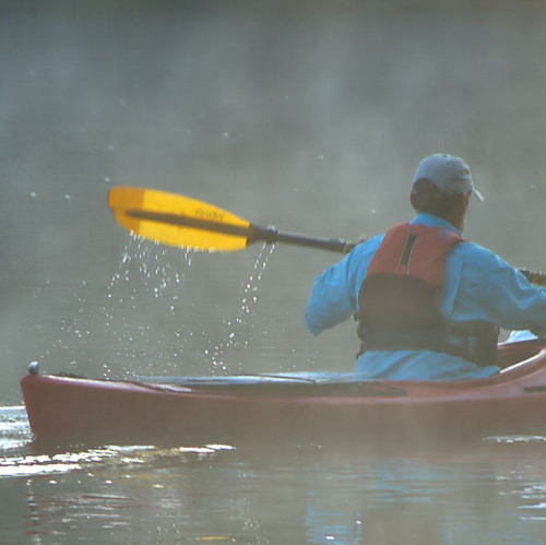 Paddling on the Altamaha, Wayne County | Vanishing Georgia: Photographs ...