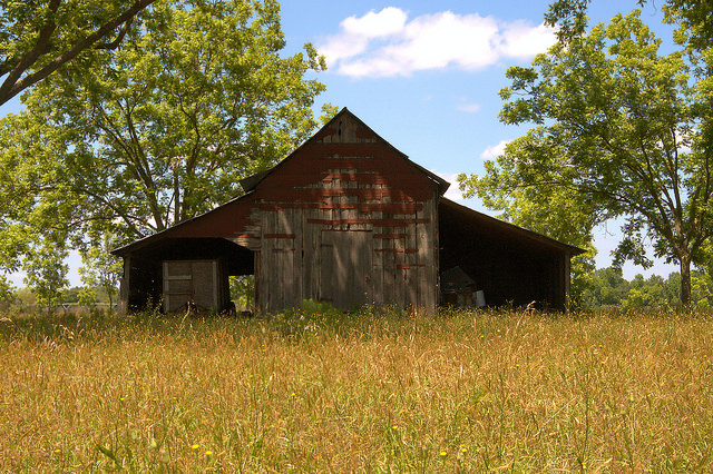 Tar Paper Barn, Tattnall County | Vanishing Georgia: Photographs by ...
