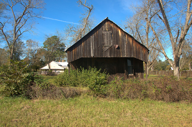 Tison GA | Vanishing Georgia: Photographs by Brian Brown