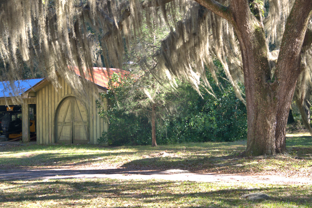 Hopeton-Altama Plantation, Glynn County | Vanishing Georgia ...