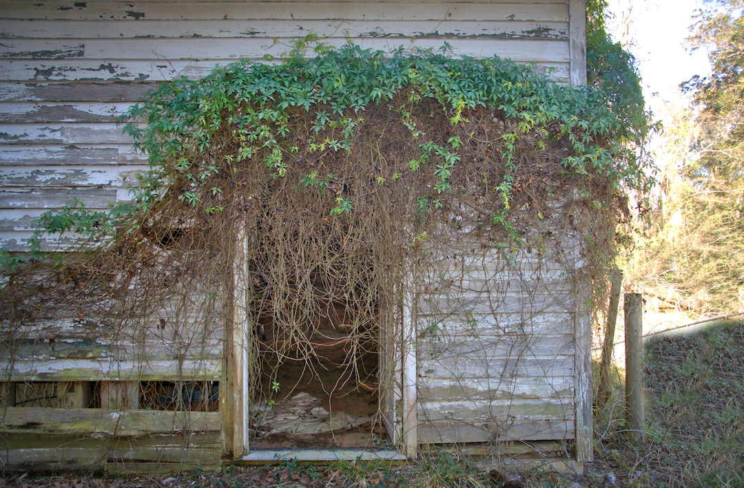 Hopeton-Altama Plantation, Glynn County | Vanishing Georgia ...