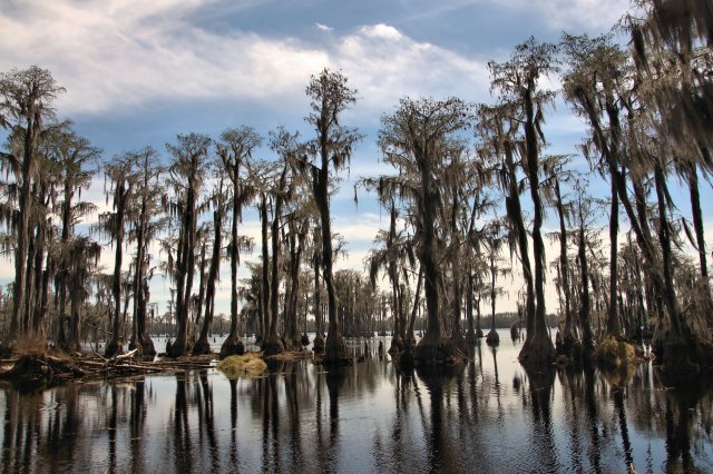 Lakeland GA | Vanishing Georgia: Photographs by Brian Brown