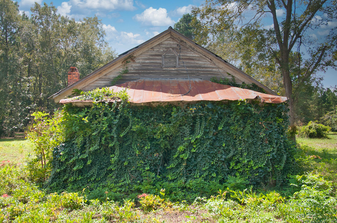 Gable Front Cottages, Collins | Vanishing Georgia: Photographs by Brian ...