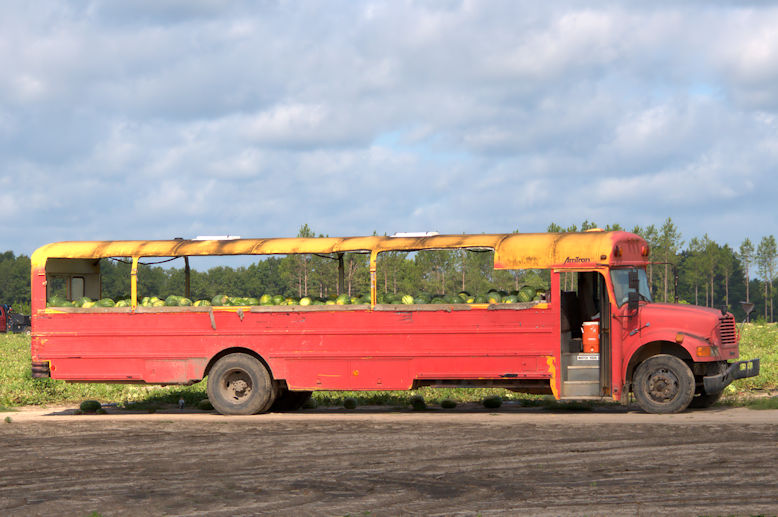 –TELFAIR COUNTY GA– | Vanishing Georgia: Photographs by Brian Brown ...