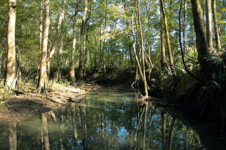 Spring Lake Fishing Club House & Fuller Cabins, Wilcox County ...