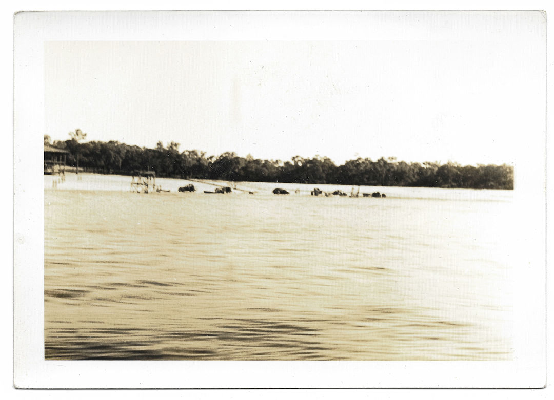 Crystal Lake GA | Vanishing Georgia: Photographs by Brian Brown