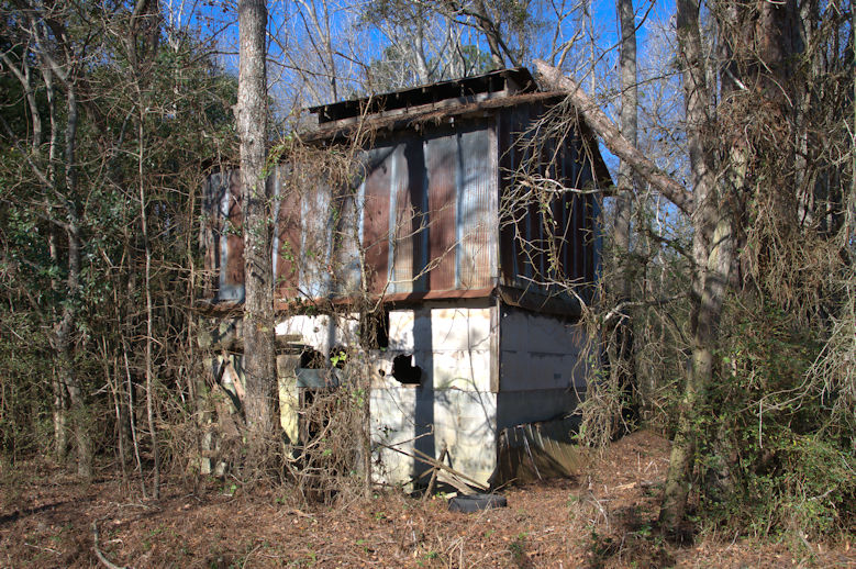 –BULLOCH COUNTY GA– | Vanishing Georgia: Photographs by Brian Brown