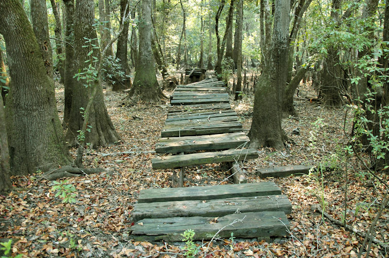 long-county-ga-altamaha-river-logging-tram-photograph-copyright-brian ...