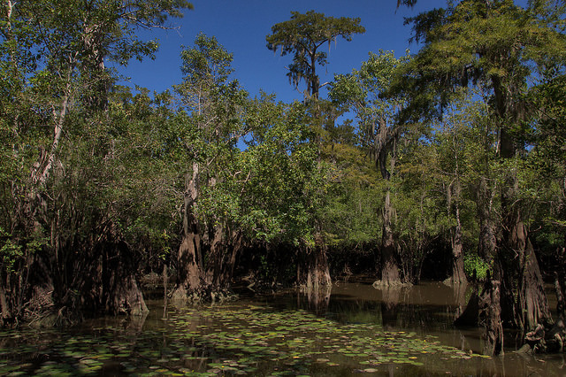 Fort Barrington Park, McIntosh County | Vanishing Georgia: Photographs ...