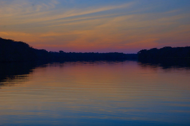 Ogeechee River at Kings Ferry | Vanishing Georgia: Photographs by Brian ...