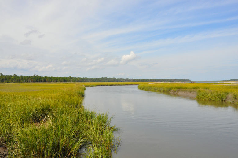 Cabretta Bridge & Blackbeard Creek, Sapelo Island | Vanishing Georgia ...