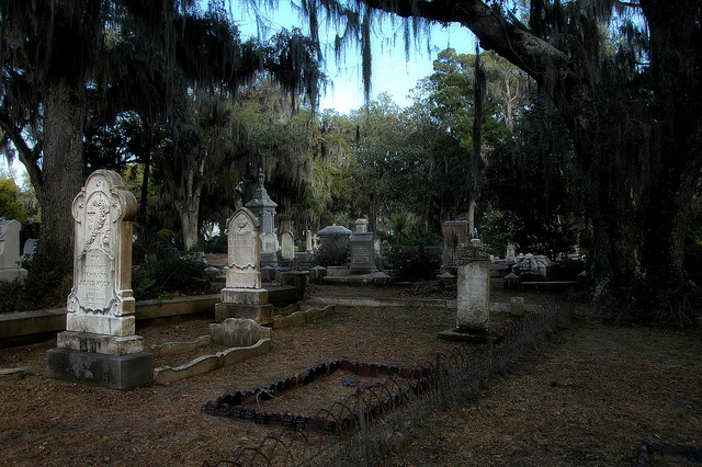 Bonaventure Cemetery, Savannah | Vanishing Georgia: Photographs by ...