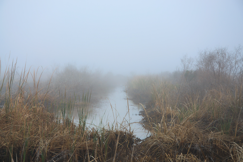 Butler Island Plantation, McIntosh County | Vanishing Georgia ...