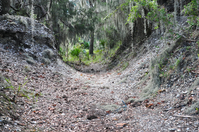 Shell Ring Complex, Circa 2170 BC, Sapelo Island | Vanishing Georgia ...
