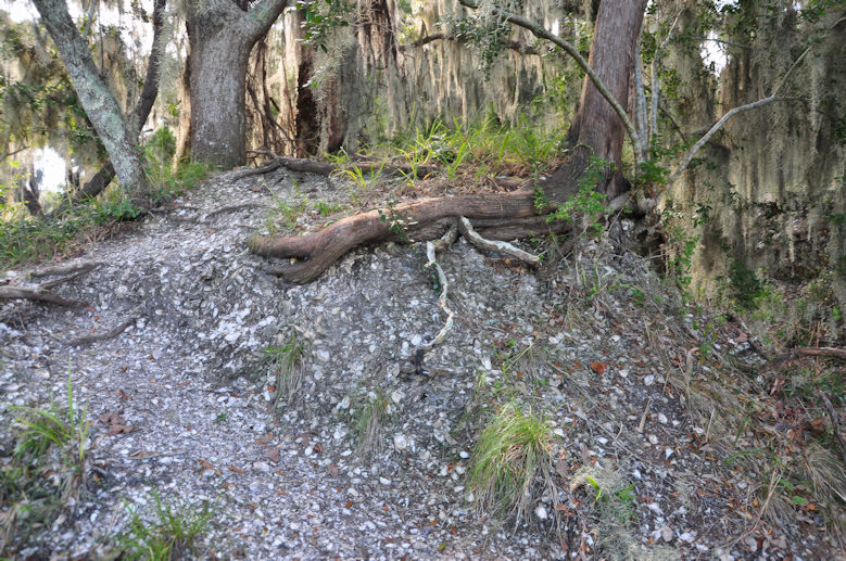 Shell Ring Complex, Circa 2170 BC, Sapelo Island | Vanishing Georgia ...