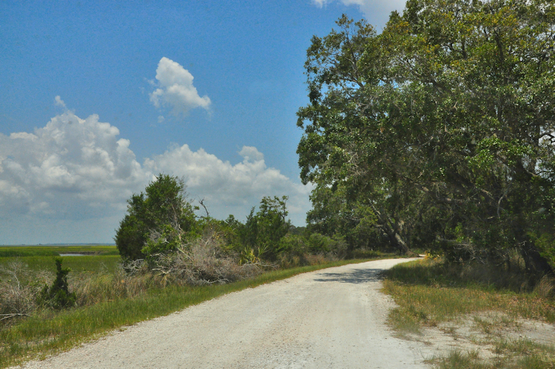 Lighthouse Road, Sapelo Island | Vanishing Georgia: Photographs by ...