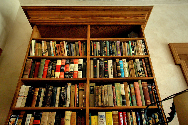 ashantilly-darien-ga-library-photograph-copyright-brian-brown-vanishing ...