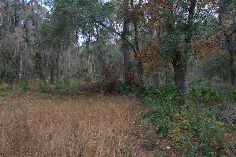 Ceylon Cemetery, Circa 1820, Darien | Vanishing Georgia: Photographs by ...