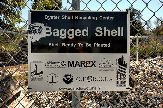 Oyster Shell Recycling Program | Vanishing Georgia: Photographs by ...