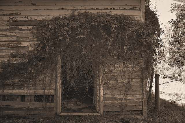 Hopeton-Altama Plantation, Glynn County | Vanishing Georgia ...