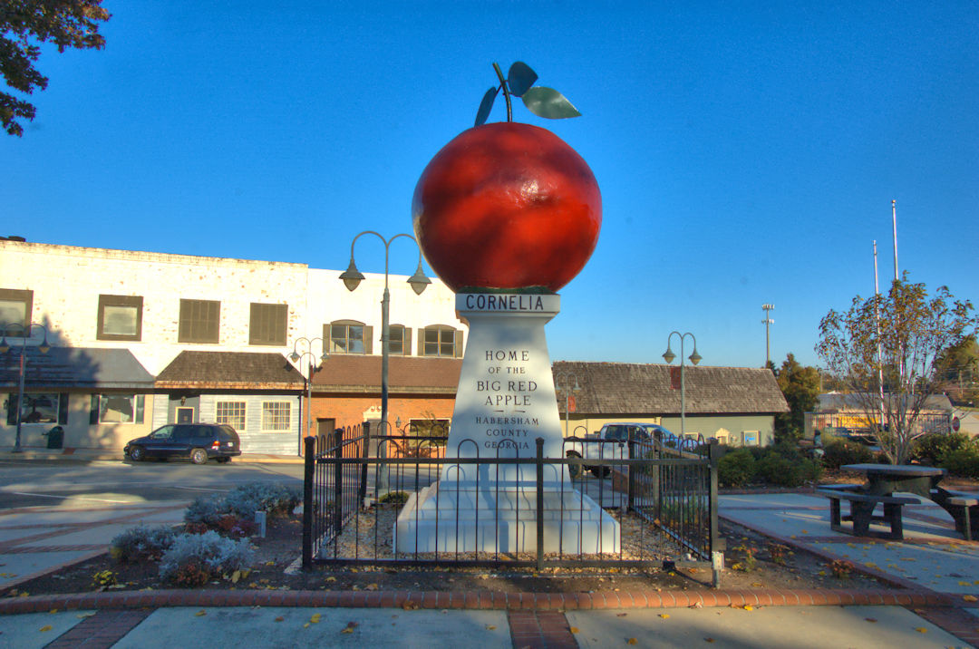 Cornelia GA | Vanishing Georgia: Photographs by Brian Brown