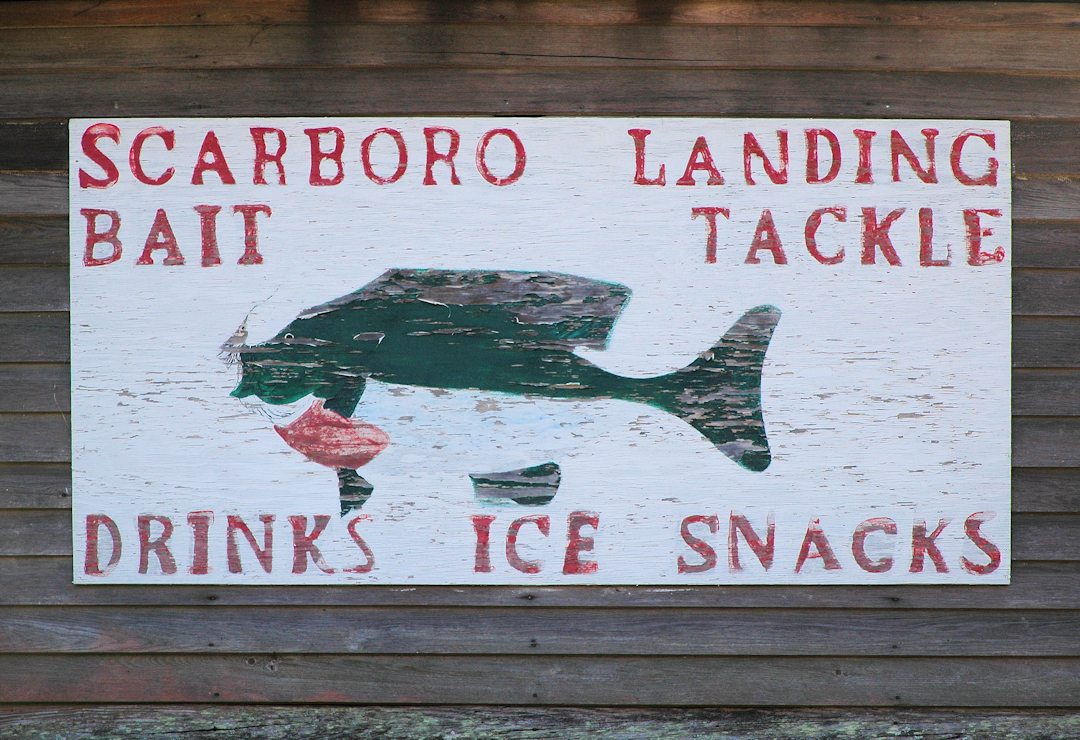 Scarboro GA | Vanishing Georgia: Photographs by Brian Brown