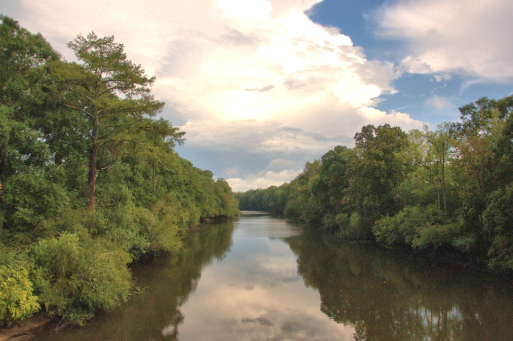Oliver GA | Vanishing Georgia: Photographs by Brian Brown