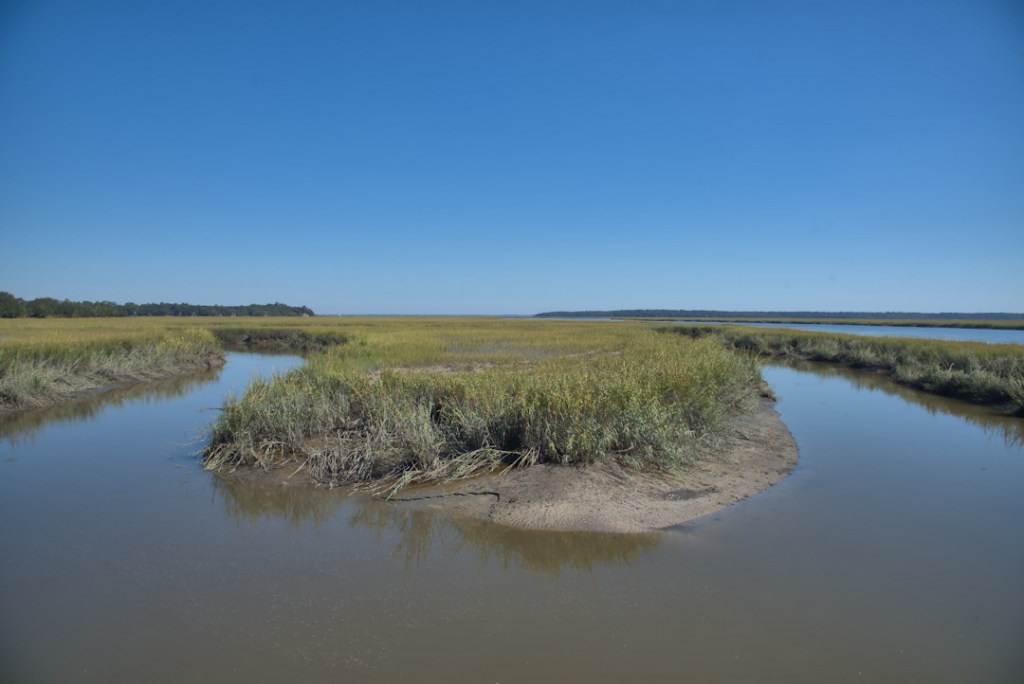 White Chimney River, McIntosh County | Vanishing Georgia: Photographs ...