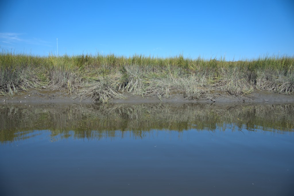 White Chimney River, McIntosh County | Vanishing Georgia: Photographs ...