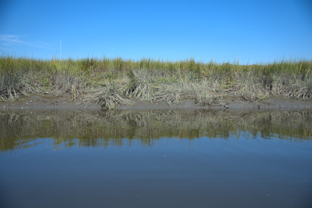 White Chimney River, McIntosh County | Vanishing Georgia: Photographs ...