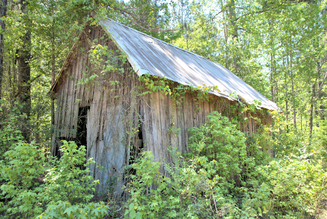 –HANCOCK COUNTY GA– | Vanishing Georgia: Photographs by Brian Brown ...