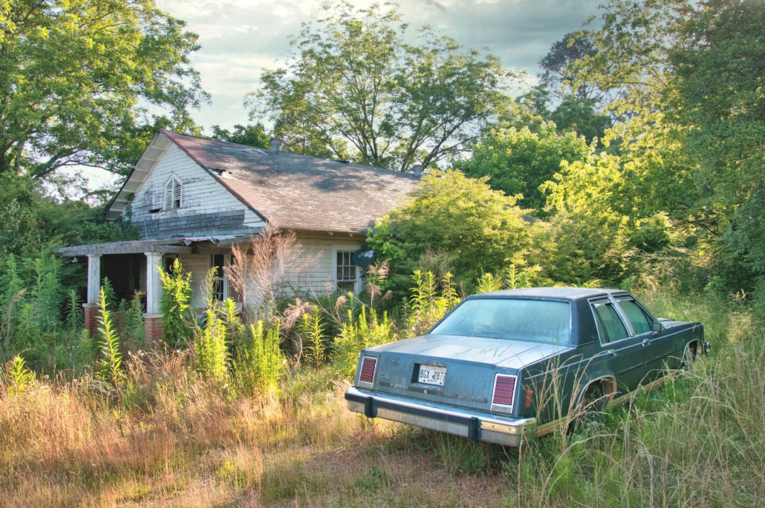 Gable-Front House, Meriwether County | Vanishing Georgia: Photographs ...