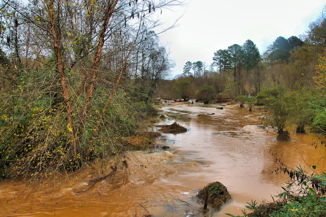 Scull Shoals, Greene County | Vanishing Georgia: Photographs by Brian Brown