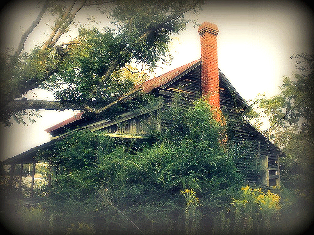 Jacksonville GA | Vanishing Georgia: Photographs by Brian Brown